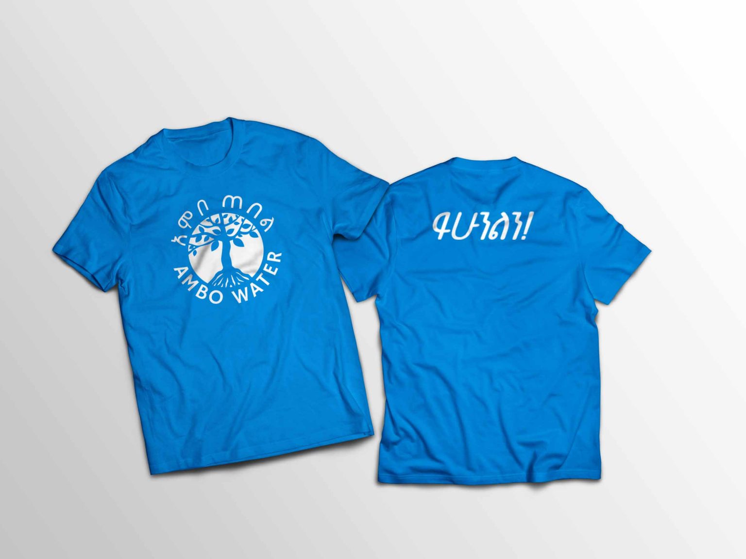 Case Study ambo - Orangeswitch