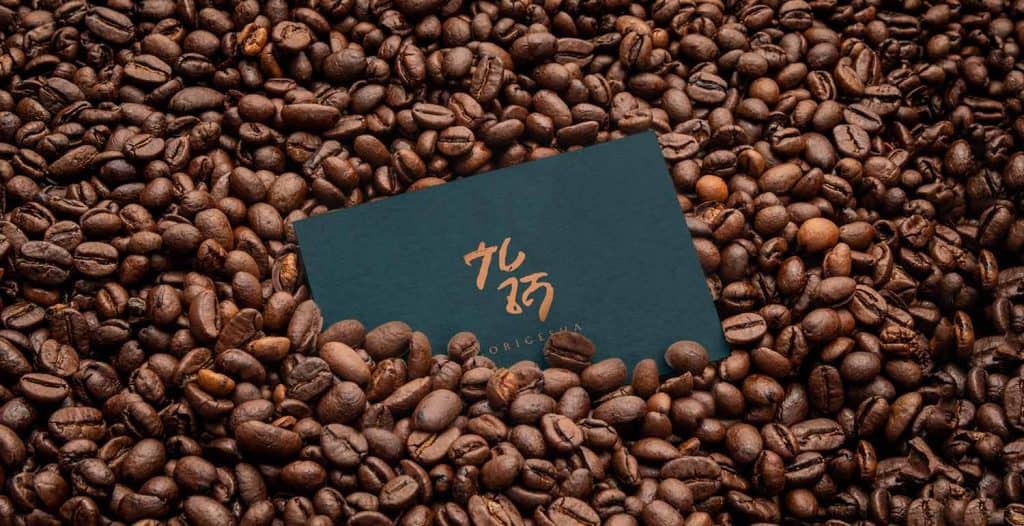 Case Study GoriGesha - Orangeswitch